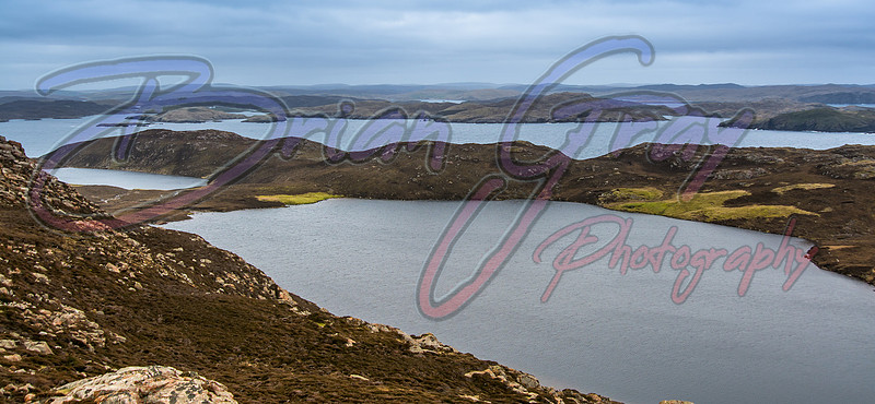 Brian D Gray | Muckle Roe